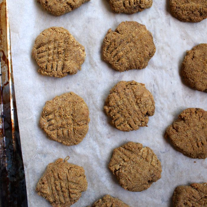 Paleo Ginger Snaps – What Great Grandma Ate