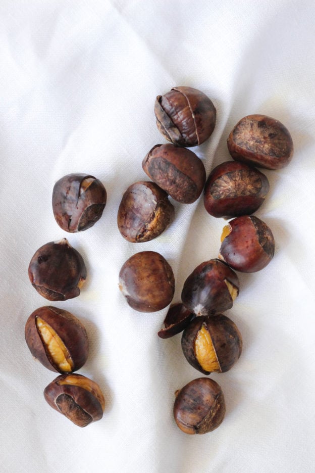 Paleo Chestnut Chocolate Chip Cookies – What Great Grandma Ate