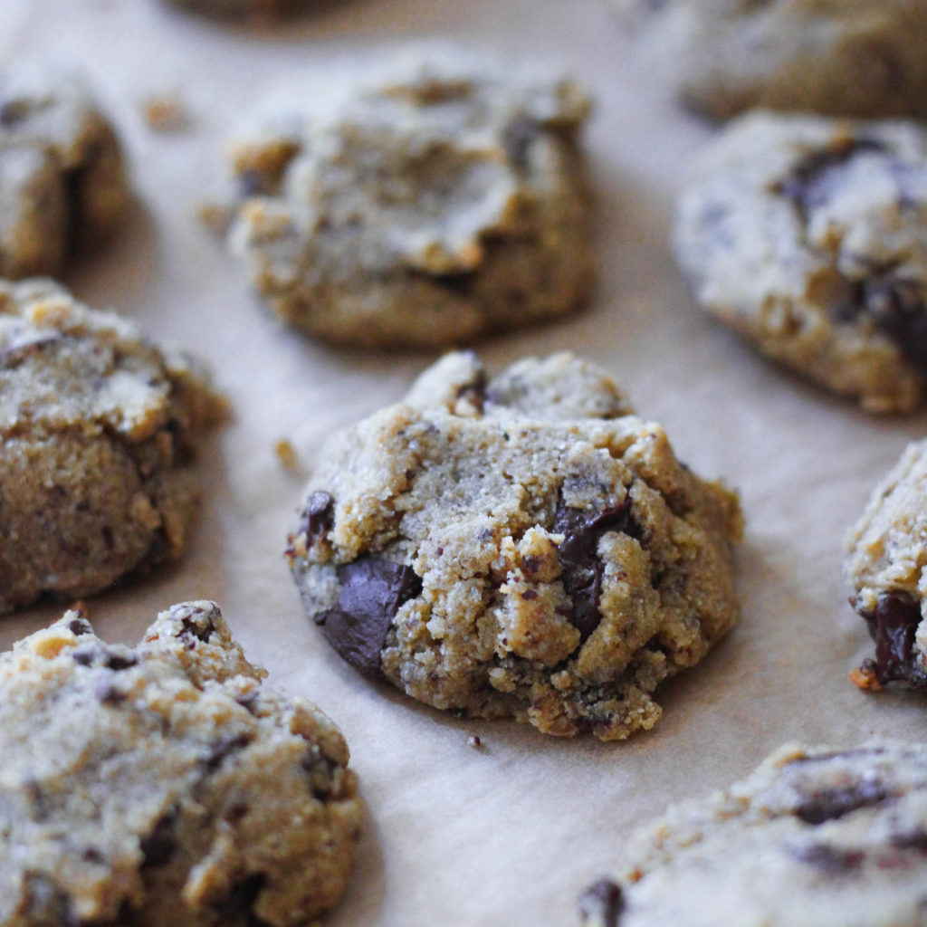 Paleo Chestnut Chocolate Chip Cookies – What Great Grandma Ate
