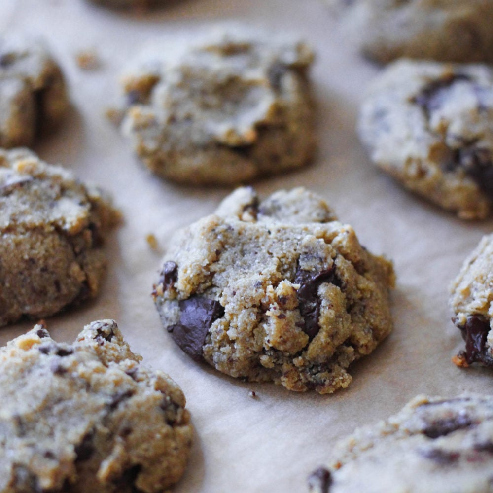 Paleo Chestnut Chocolate Chip Cookies – What Great Grandma Ate
