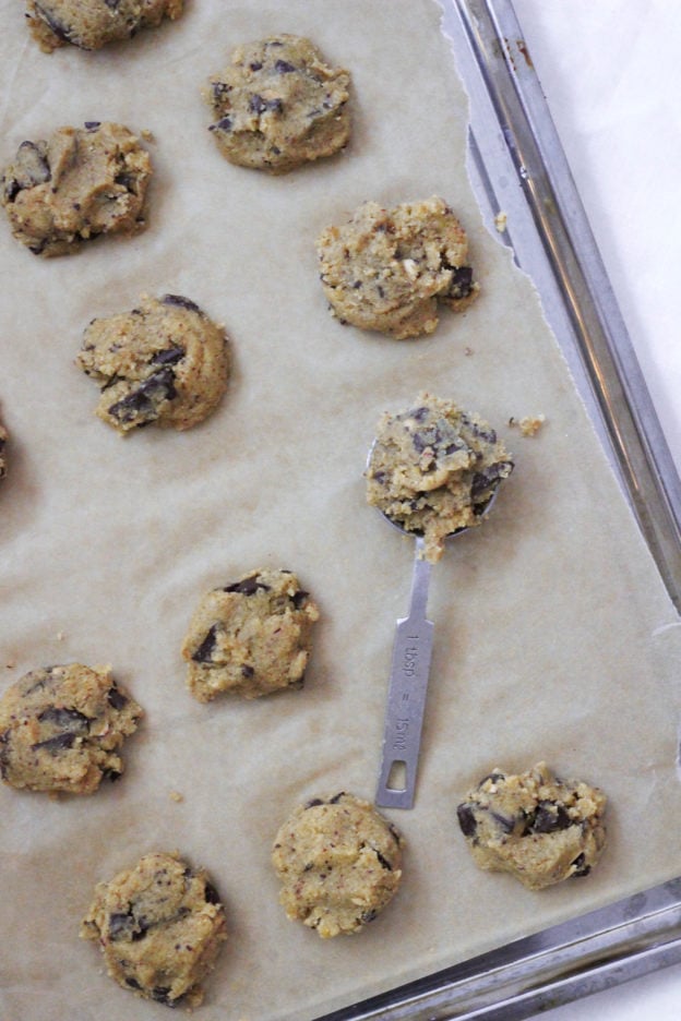 Paleo Chestnut Chocolate Chip Cookies – What Great Grandma Ate