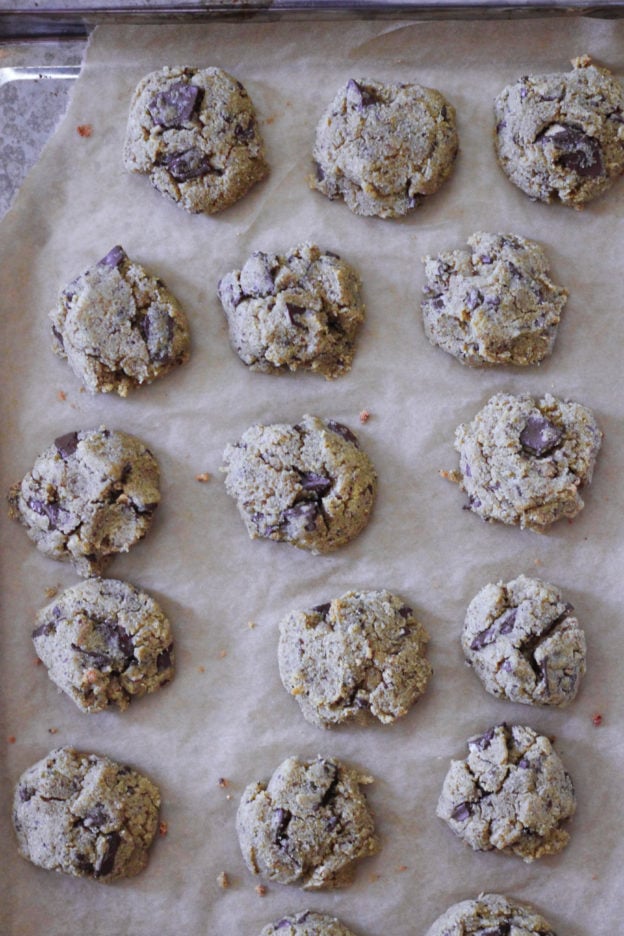 Paleo Chestnut Chocolate Chip Cookies – What Great Grandma Ate