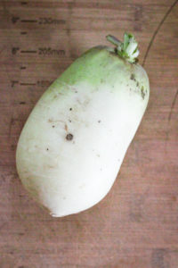 Daikon Radish Fries – What Great Grandma Ate