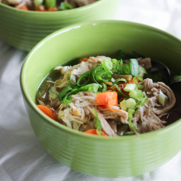 Instant Pot Chicken Soup (Paleo, Whole30, AIP, Keto) – What Great ...