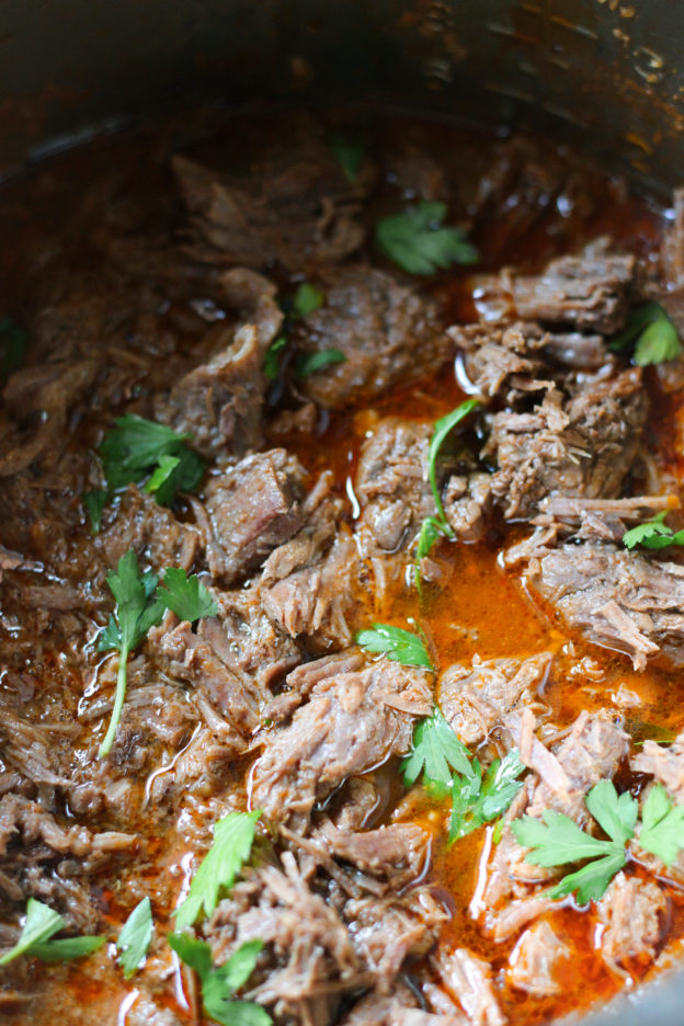 Instant Pot Barbacoa – What Great Grandma Ate