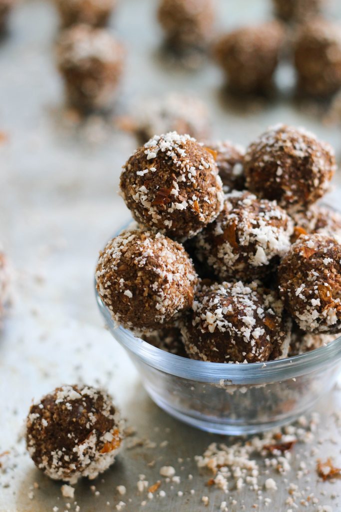 Vegan and Paleo Chocolate Nut Pulp Bites – What Great Grandma Ate