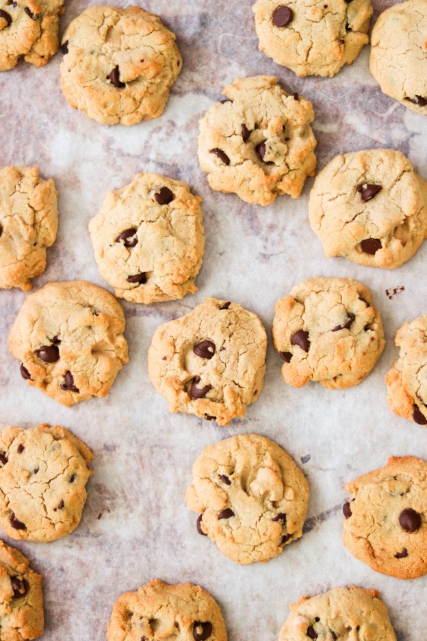 Nut-Free Cassava Flour Chocolate Chip Cookies (Paleo, Vegan, Gluten ...