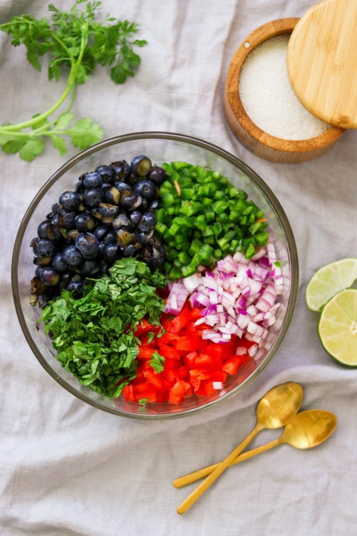 Refreshing Blueberry Salsa (Paleo, Whole30, Low Carb, Vegan) – What ...