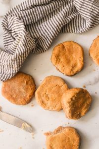 Paleo Cassava Flour Biscuits (Vegan, AIP) – What Great Grandma Ate