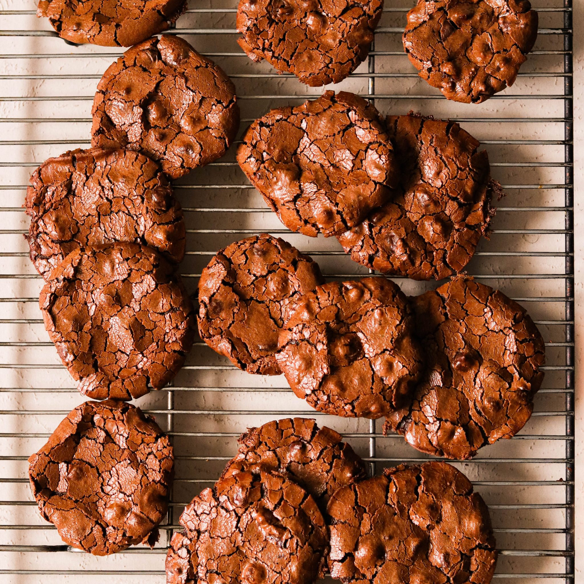 Paleo Flourless Chocolate Cookies (Fudgy & Crispy) – What Great Grandma Ate