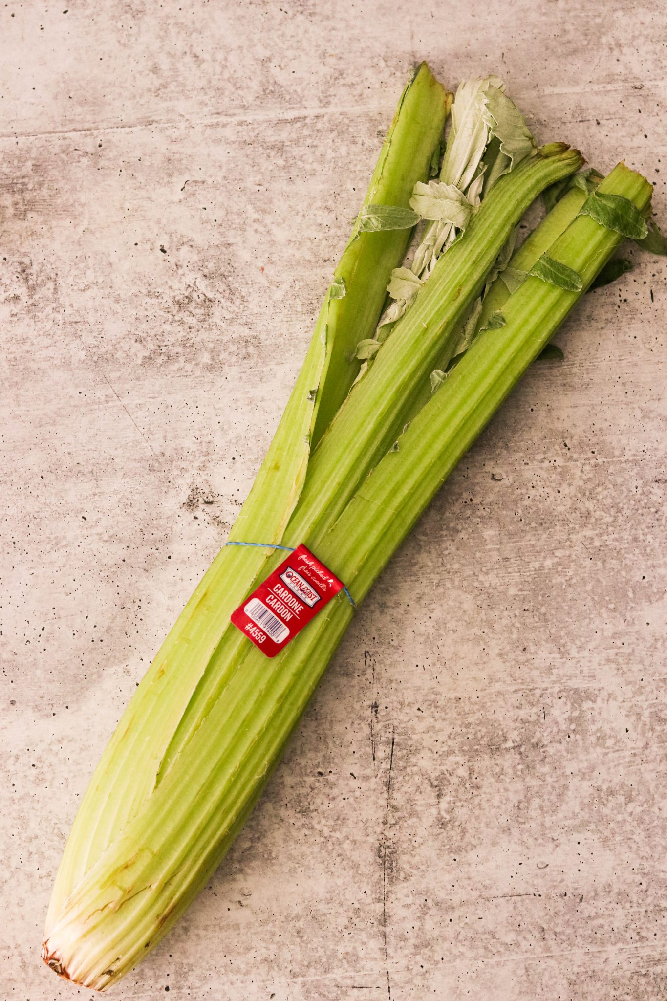 Air Fryer Fried Cardoons Recipe (With Oven Option) | What Great Grandma Ate