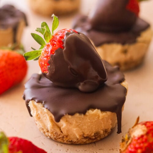 Chocolate Covered Strawberry No Bake Mini Cheesecake Recipe