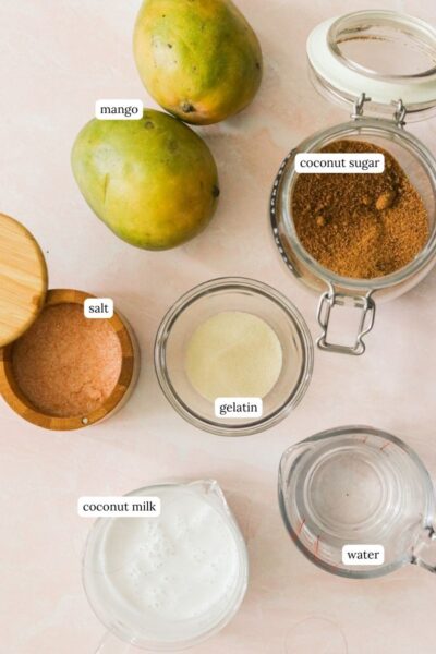 Easy Coconut Mango Pudding Recipe | What Great Grandma Ate