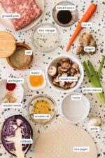 Crispy Rice Paper Dumplings Recipe (with Dipping Sauce!)