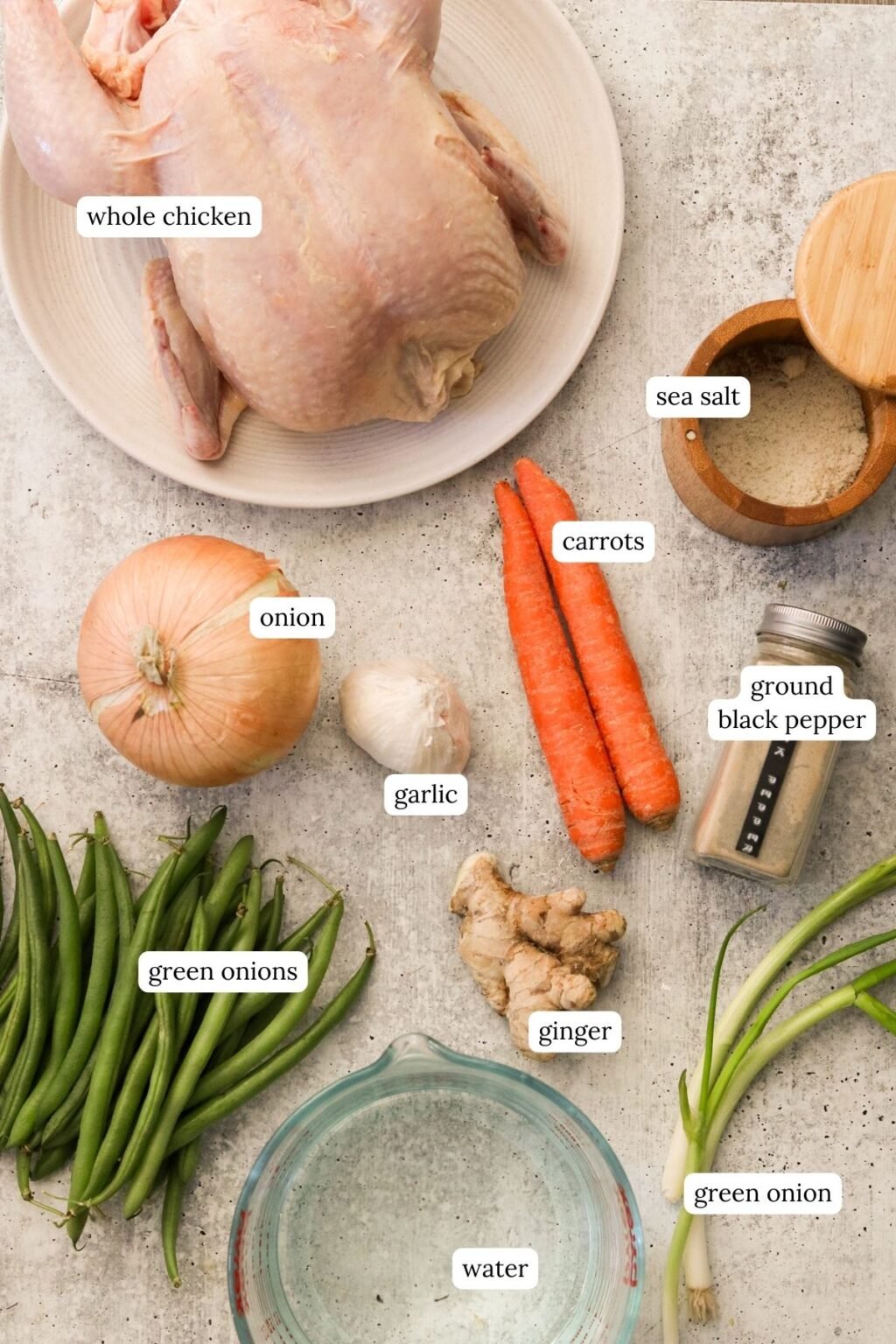 Instant Pot Chicken Soup Recipe – What Great Grandma Ate