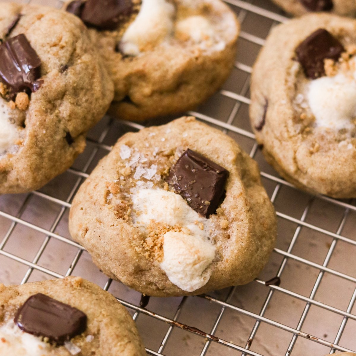 Best Ever S'Mores Cookies Recipe (Gluten Free Option)