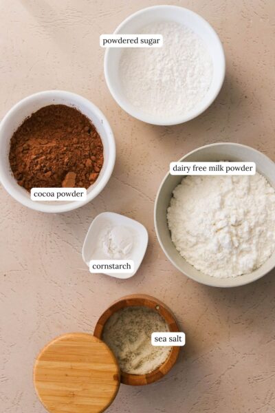 Homemade Dairy Free Hot Chocolate Mix | What Great Grandma Ate