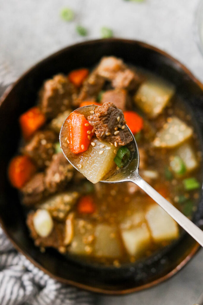 The Best One-Pot Asian Beef Stew (So Easy!) | What Great Grandma Ate