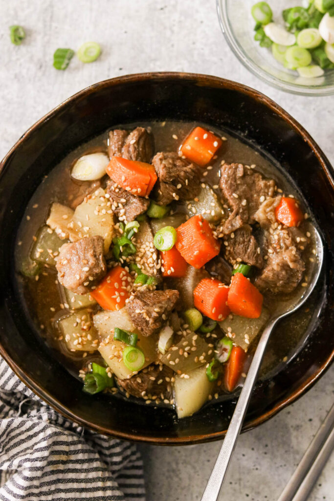 The Best One-Pot Asian Beef Stew (So Easy!) | What Great Grandma Ate