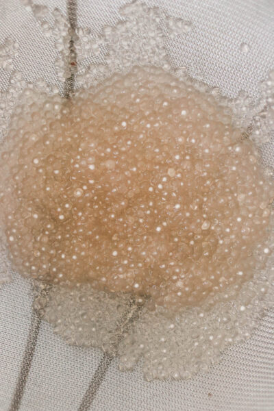 Easy Mango Sticky Rice Smoothie (TikTok Inspired) | What Great Grandma Ate