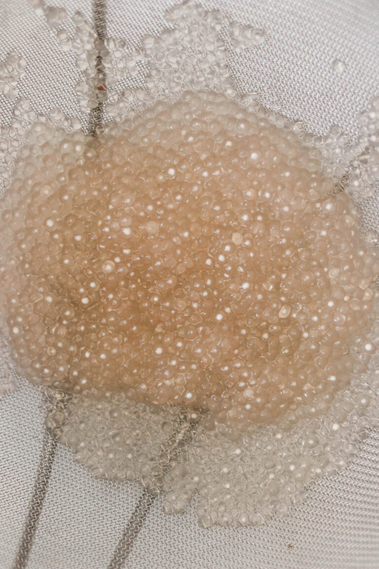 Easy Mango Sticky Rice Smoothie (TikTok Inspired) | What Great Grandma Ate